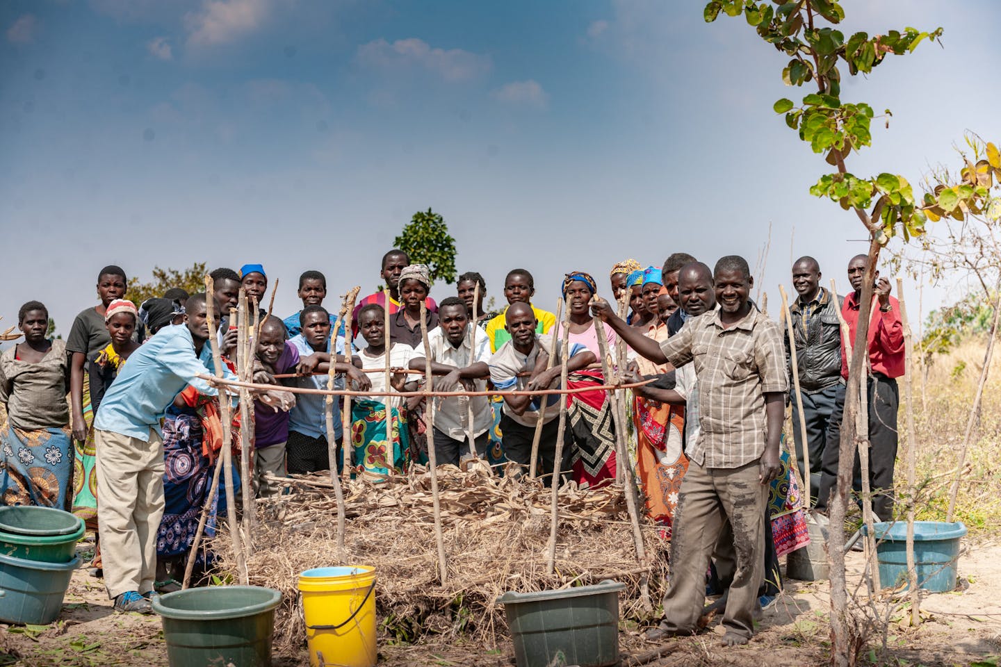 Plans and reports | Wilde Ganzen