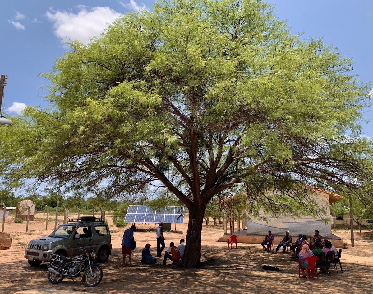 Sustainable activities: tips, tricks and fine examples | Wilde Ganzen