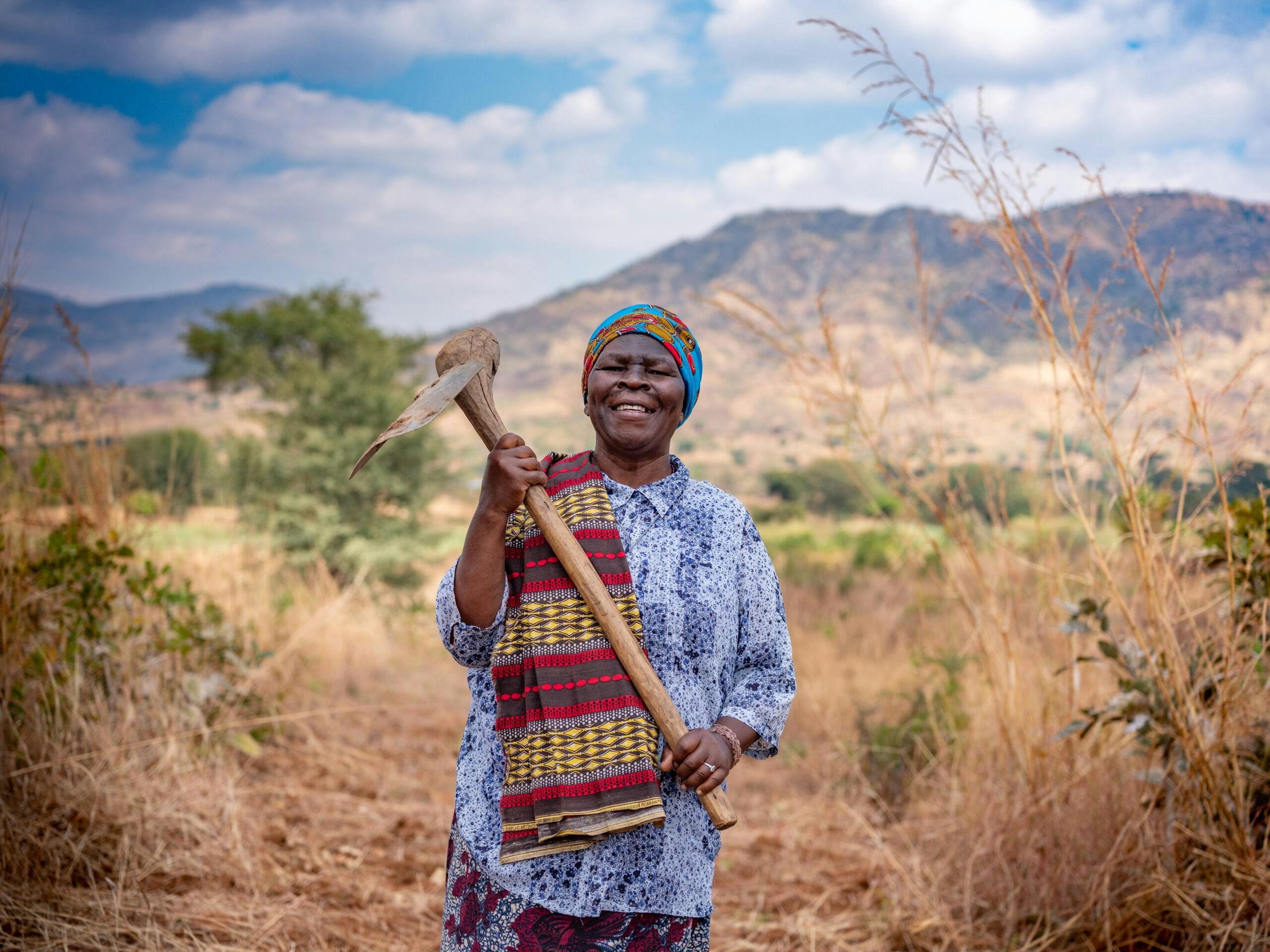 The way we work | Wilde Ganzen