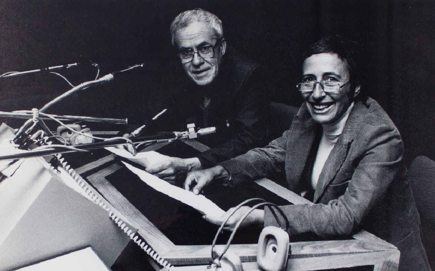 Our history | Wilde Ganzen