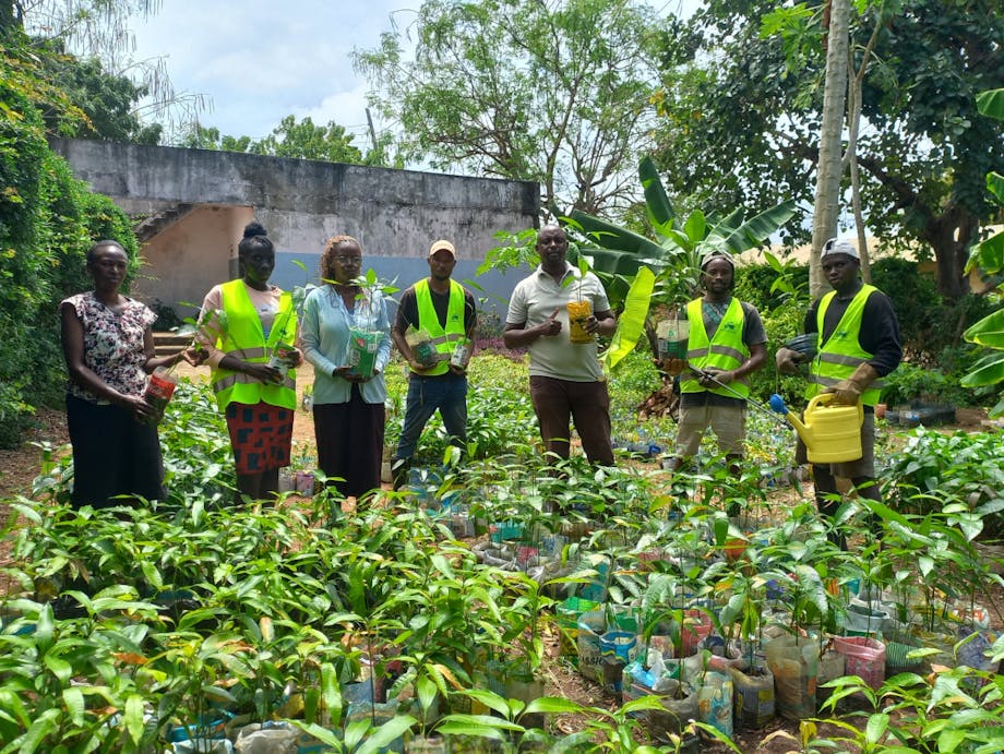 Restoring Kenya’s forest cover | Wilde Ganzen