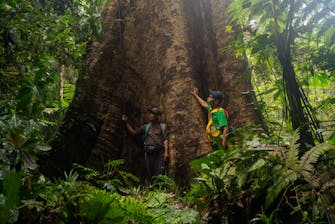 Grantmaking | Financing of small-scale projects | Wilde Ganzen