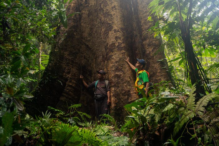 Grantmaking | Financing of small-scale projects | Wilde Ganzen